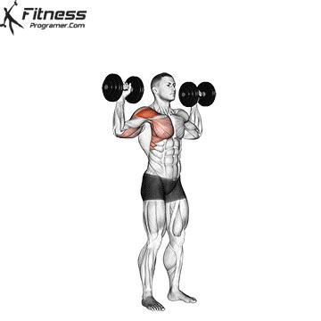 Standing Alternating Dumbbell Shoulder Press Fitness Programer