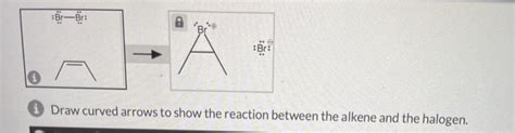 Solved An alkene reacts with a strong protic acid to form a | Chegg.com