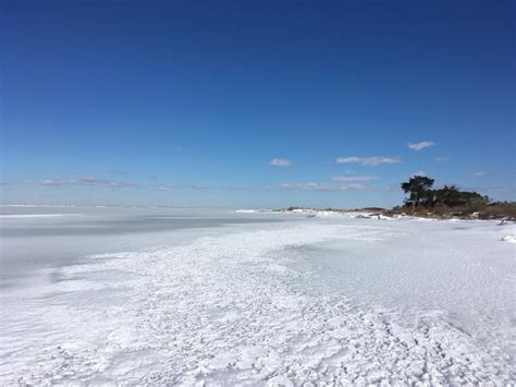 Karen Terwilliger New President Of The Ves Land Trust Board Of