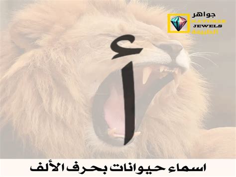 اسماء حيوانات بحرف الصاد رحلة مع أسرار الحيوانات جواهر طبيعية