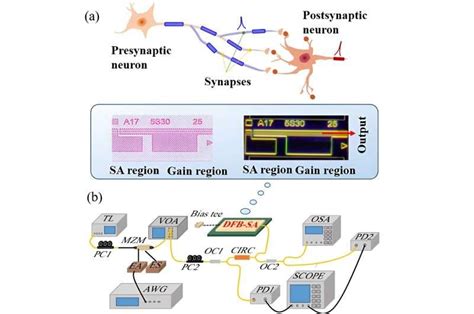 Aipressroom On Linkedin Multi Synaptic Photonic Spiking Neural