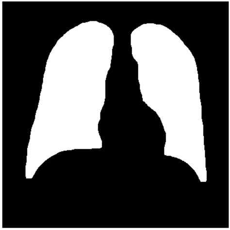 Lungs Segmentation On Cxr Image A Cxr Image B Binary Mask C Download Scientific