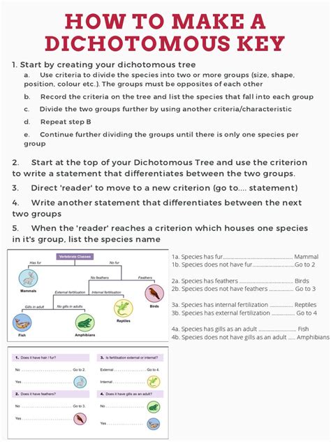 How To Make A Dichotomous Key Pdf