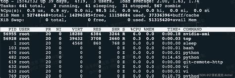 unbuntu用top查看进程pid并删除 ubuntu系统查看进程 删节点 csdn博客