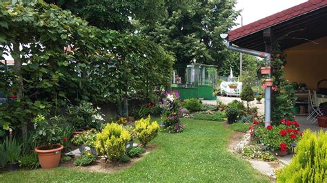 Цветна Фабрика 🌹Храстовидни и катерливи рози🌹 Последни бройки от розите на супер цена