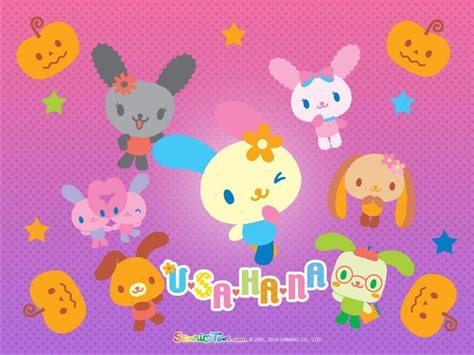Usahana Wallpapers Top Free Usahana Backgrounds Wallpaperaccess