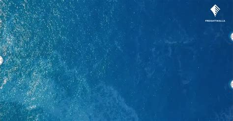 Video Shalin Shah Posted On Linkedin