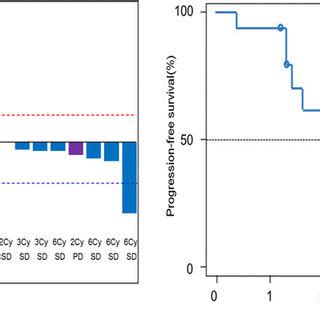 Waterfall Plot And Kaplan Meier Curve Of Pfs Waterfall Plot Shows The