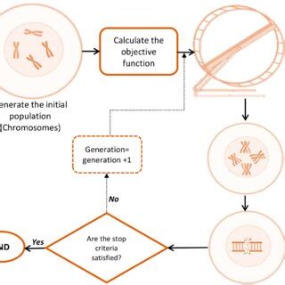 Schematic Representation Of Generalized Regression Neural Network Download Scientific Diagram