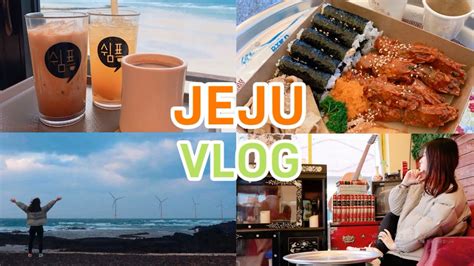 제주 브이로그 Vlog 힐링여행 제주도 2박3일 여행 1일차🍊 겨울 겸 봄 제주도 핫플레이스맛집카페 부자식당양떼목장협재해수욕장신창풍차해안도로카페쉼표동문