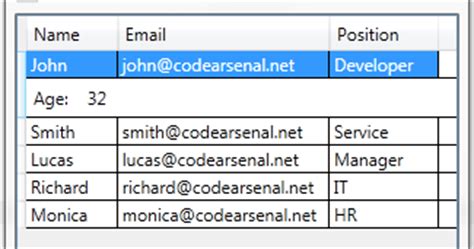 WPF DataGrid RowDetailsTemplate Code Arsenal