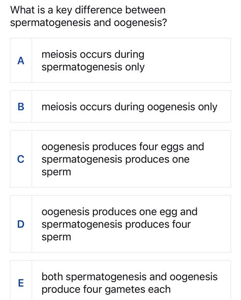 Solved What Is A Key Difference Between Spermatogenesis And Chegg Com