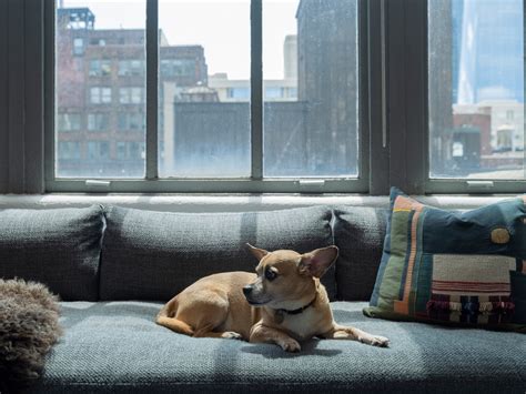 Eric Hoffmans Vision Elevates Branding To The Highest Level Wallpaper