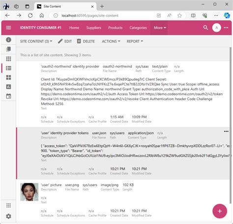 Oauth 20 Authorization Forms Reports Apps Build And Deploy