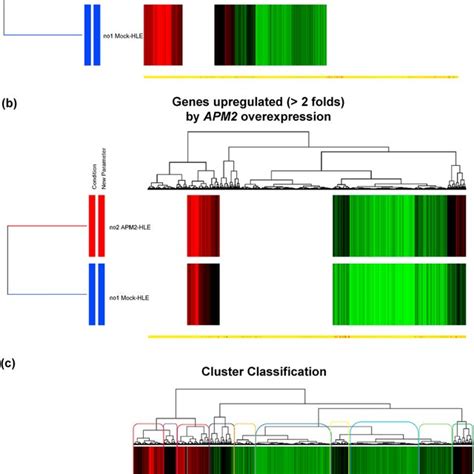 microarray and bioinformatic analyses microarray analyses were