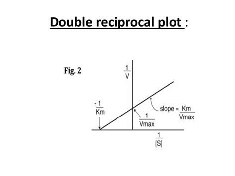 ENZYME PowerPoint Slides LearnPick India