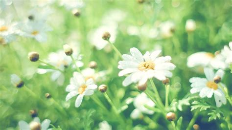 Pytorch Lightning艰难安装过程 知乎