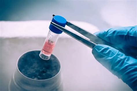 Five More Samples Test Negative For Nipah Virus In Kerala