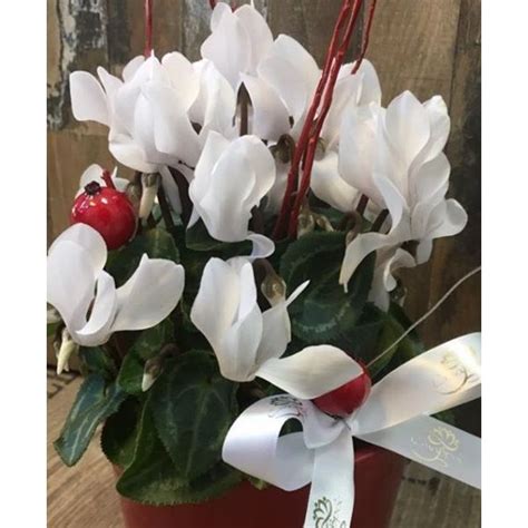 Опасни за животни Български Фермер