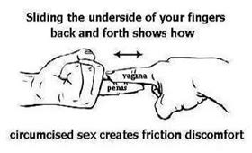 QuranicPath HOW MALE CIRCUMCISION HARMS WOMEN Intact Sex Intercourse Circumcision ختان