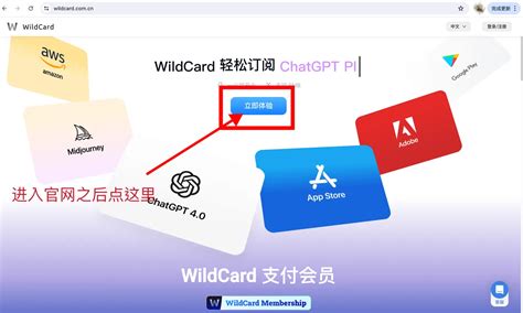 Fomepay 跑路后，订阅 Chatgpt 的替代方案与维权指南 虚拟卡教程网