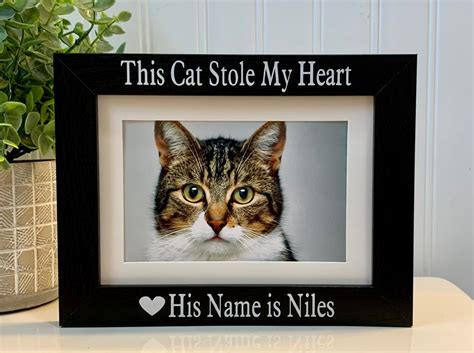 Cat T Cat Frame Cat Picture Frame Cat Photo Frame Personalized Frame For Cat This Cat