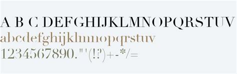 Didot Lt Pro Display Fonts Free Download Onlinewebfontscom