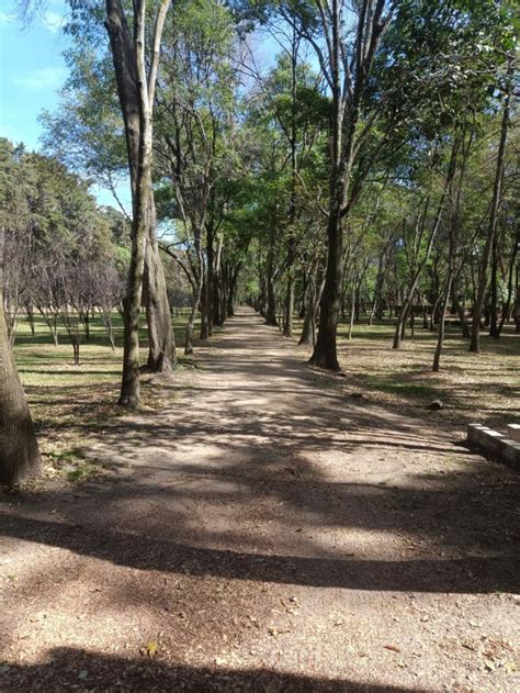 Conéctate Con La Naturaleza En Los Viveros De Coyoacán Soy Coyoacanense