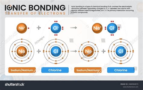 Visual Guide Ionic Bonding Electron Transfer Chemistry Stock Vector Royalty Free 2460564073
