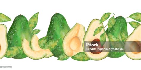 아보카도와 이음새가 없는 테두리 잎이 있는 전체 과일과 얇게 썬 과일 수채화 및 마커 그림 손으로 그린 고립 된 배경입니다 음식에 대 한 야채 배너 열대 테마 관련 디자인