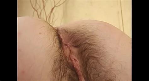 Free Hairy Ass Pussy Porn Videos Xhamster