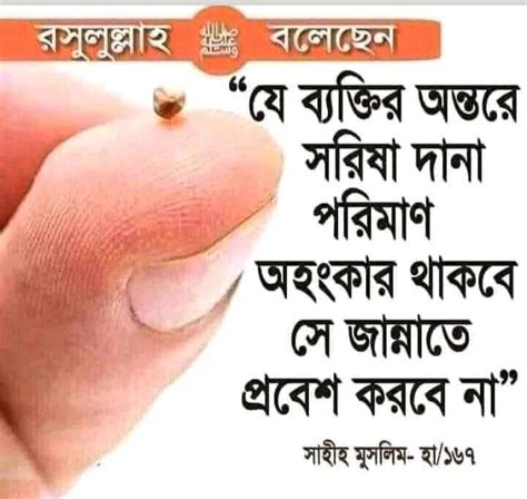 Md Hasnat Jahid Shuvo