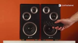 Обзор товара колонки Bluetooth Oklick OK-117 BT, 2.0, черный [1193274 ...