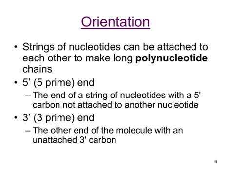 introduction to bioinformatics molecular biology primer ppt