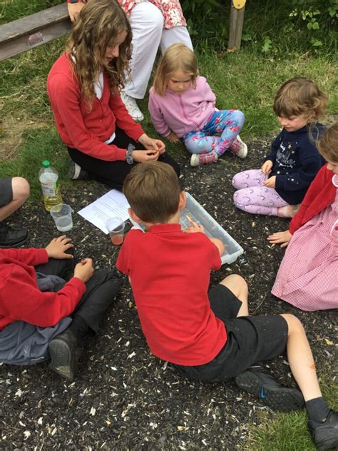 St Georges Science Share St George S CE Academy Clun