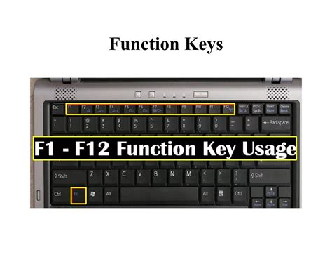 Input Output Devices Input Devices Types Of Input Devices Pdf