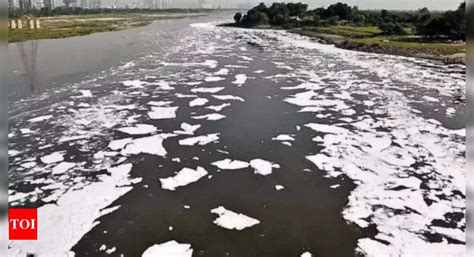 Yamuna River Pollution Hits Record High In Delhi Faecal Coliform