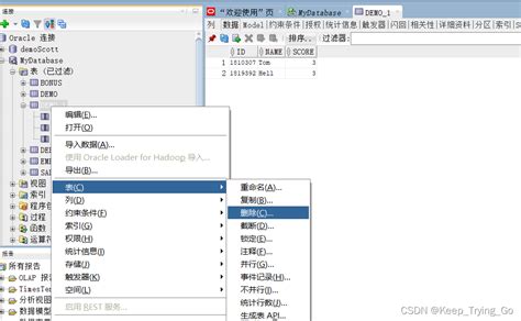 学习oracle数据库并对数据进行查询，插入等操作（四）oracle 查询插入 Csdn博客