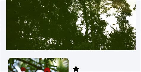 Sticky Image Scrolling Text Effect In Elementor And Css Css Game Lab