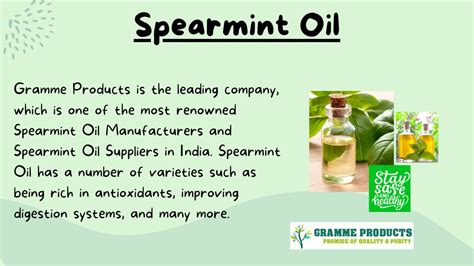 Ppt Explain Tea Tree Oil Peppermint Oil And Spearmint Oil
