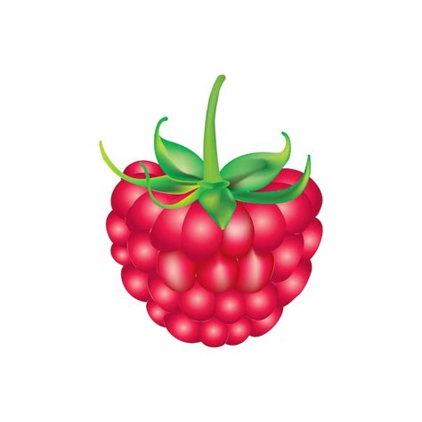 Premium Vector Raspberry Clip Art Vector On A White Background Vector Illustration