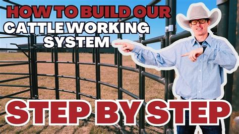 How to Setup Our Cattle Working System in 27 Steps | Seven Peaks Fence And Barn - YouTube