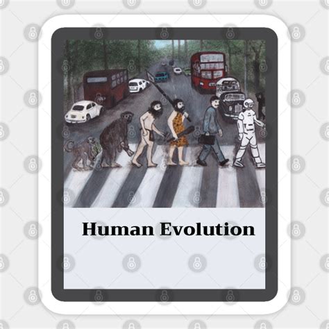 Human Evolution Vintage Retro Sticker Teepublic