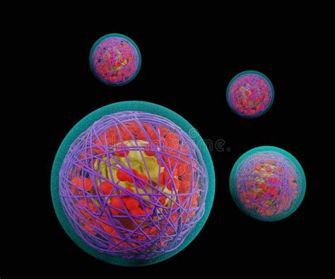 Nanocapsule Use Stock Illustrations 4 Nanocapsule Use Stock Illustrations Vectors And Clipart