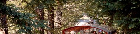 Билет в семейный тематический парк Gilroy Gardens Klook Россия