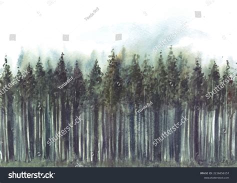 Pine Tree Forest Watercolor Painting Stock Vector Royalty Free