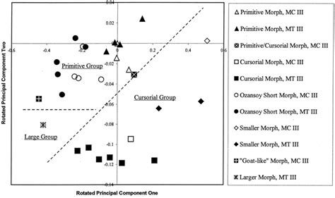 20 Rotated And Scaled Principal Component Scores For Mc Iii Plotted