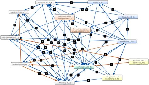 graph based causal relationships between factors influencing health of