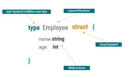 Struct In Golang Selftuts