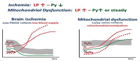 Journal Of Translational Critical Care Medicine